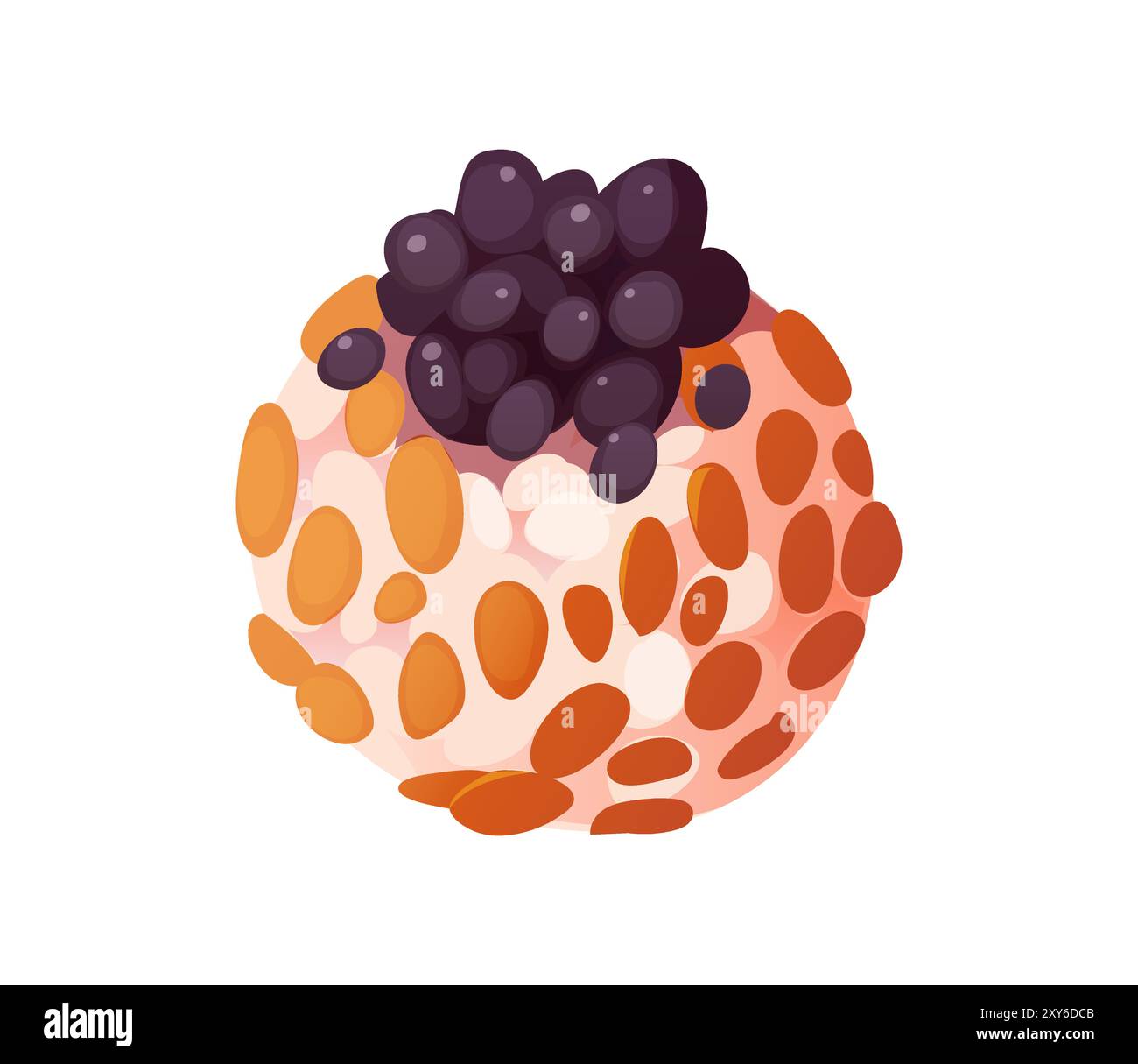 Cartoon temari Japanese round sushi roll, topped with black roe and ...