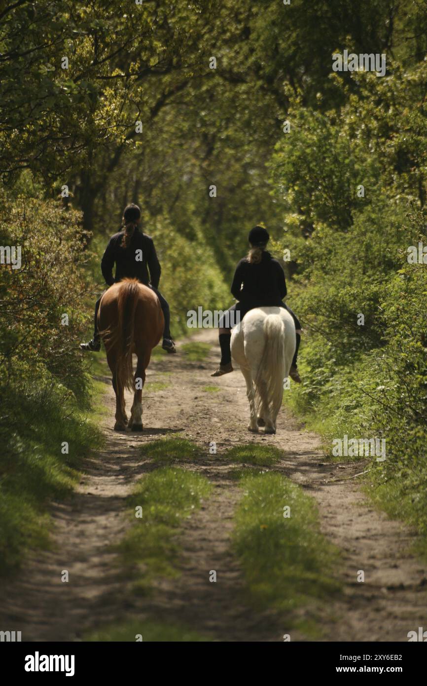 Two girls on horseback on an idyllic country lane Stock Photo - Alamy