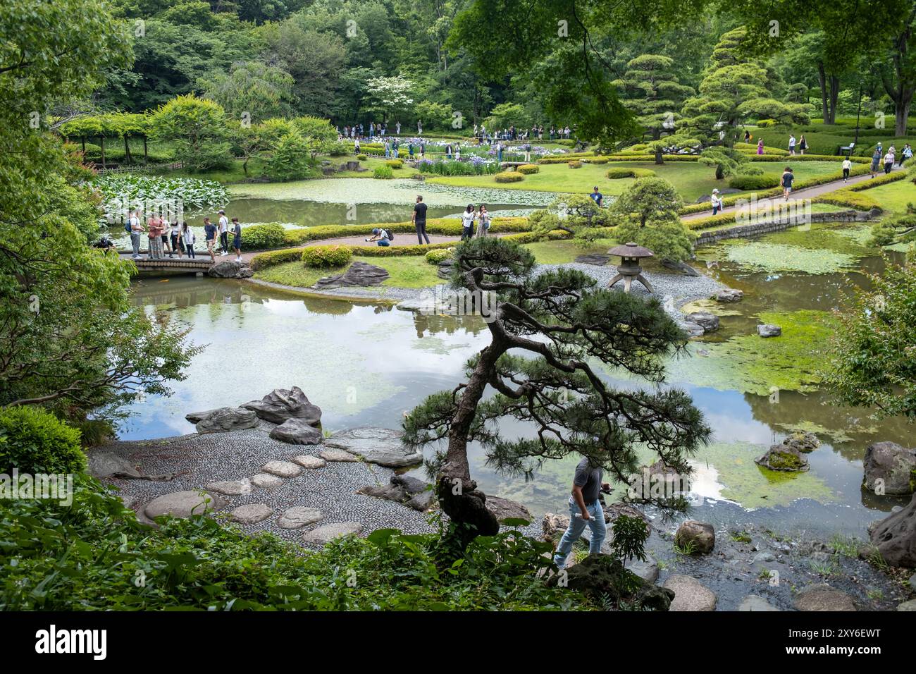 Visit japanese garden hi-res stock photography and images - Alamy