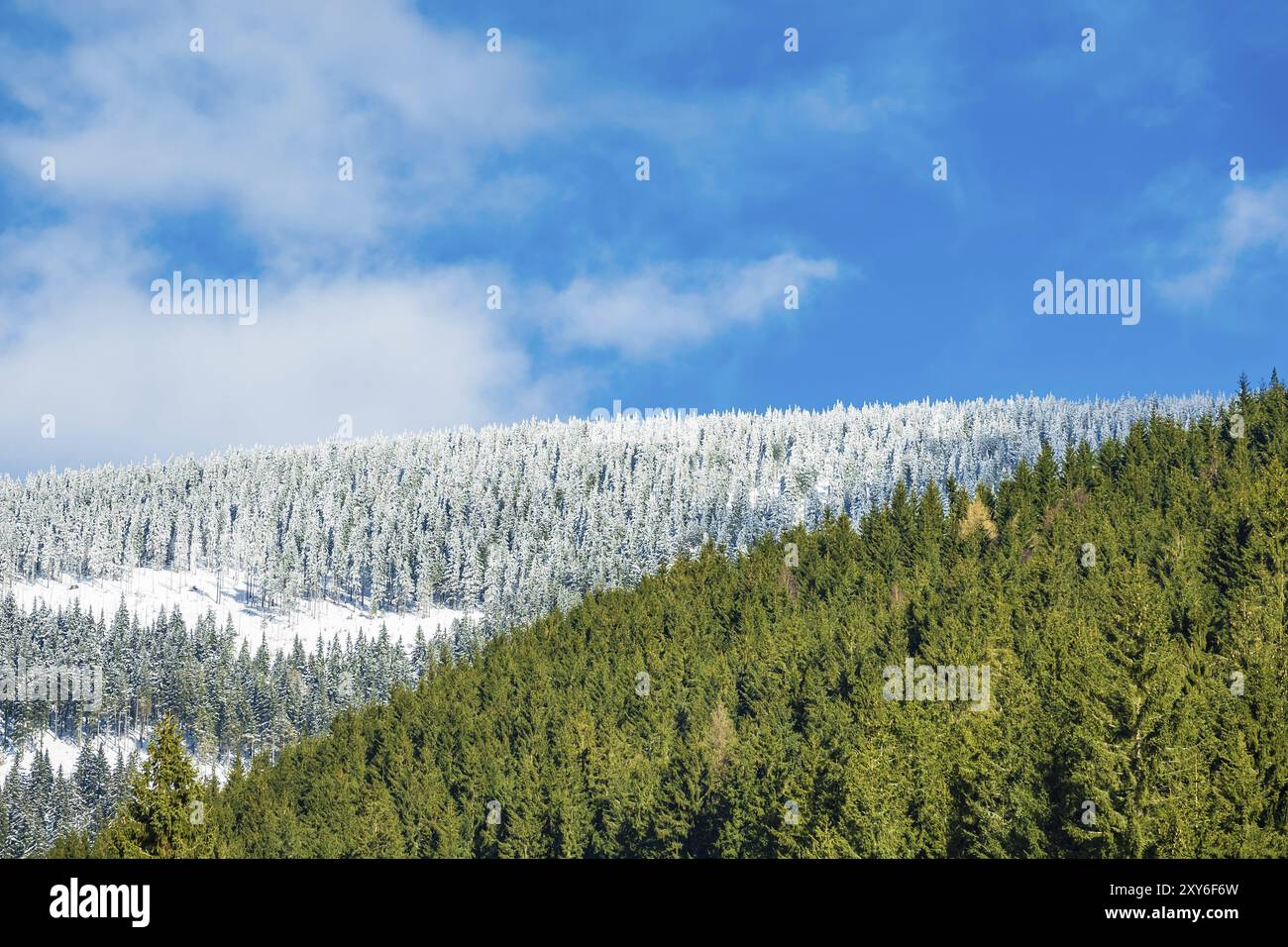 Winter in the Giant Mountains near Pec pod Snezkou, Czech Republic ...