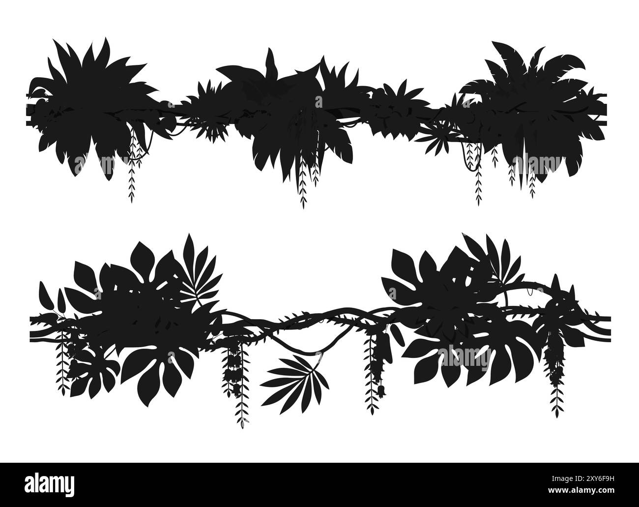 Rope tropical palm tree Black and White Stock Photos & Images - Alamy
