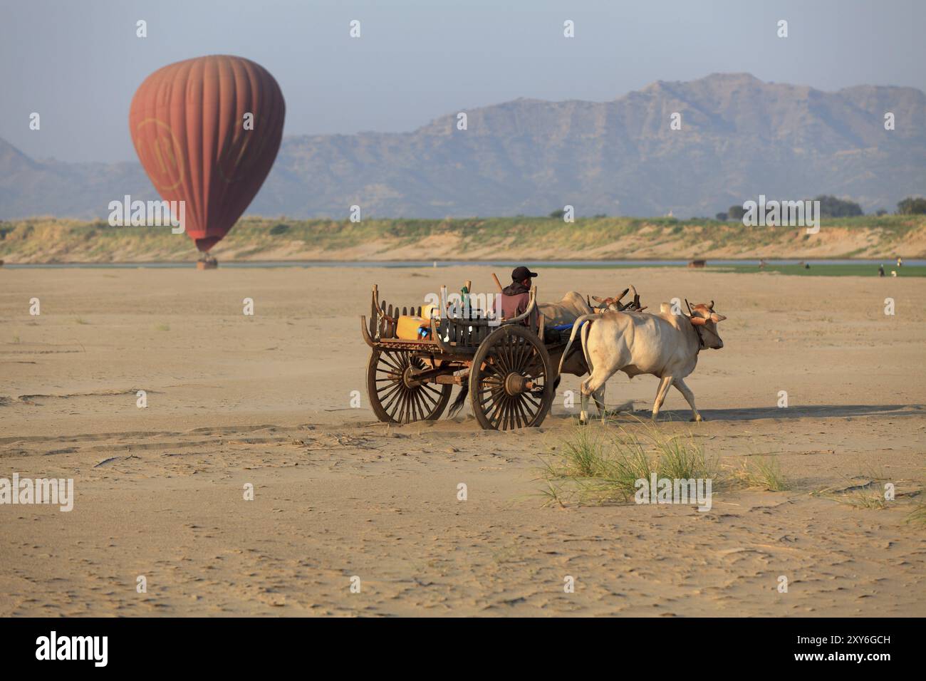 Farming at the irrawaddy river hi-res stock photography and images - Alamy