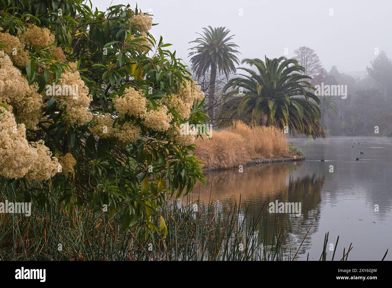 Botanic Gardens View Stock Photo - Alamy