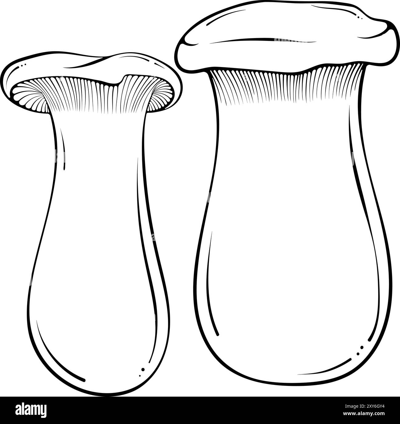 White oyster mushrooms Black and White Stock Photos & Images - Alamy