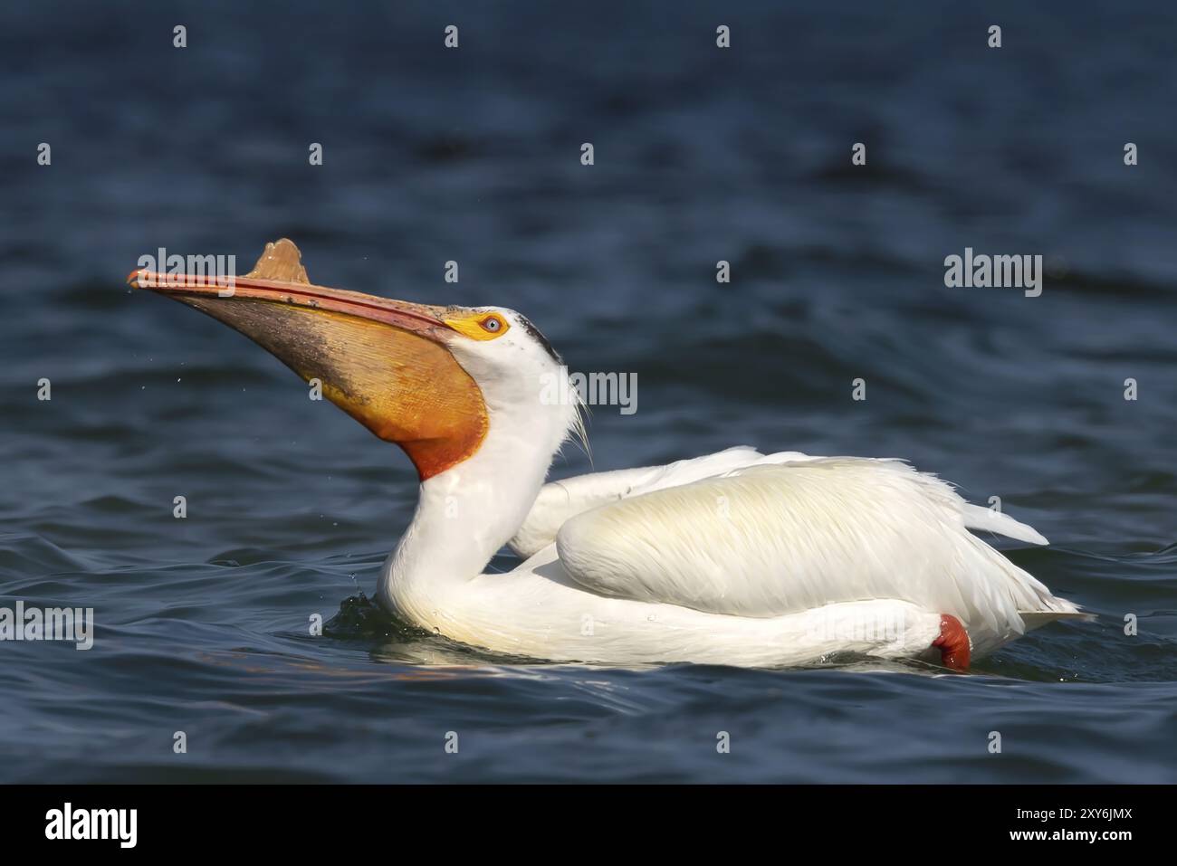 Nature scene from wisconsin Stock Photo - Alamy
