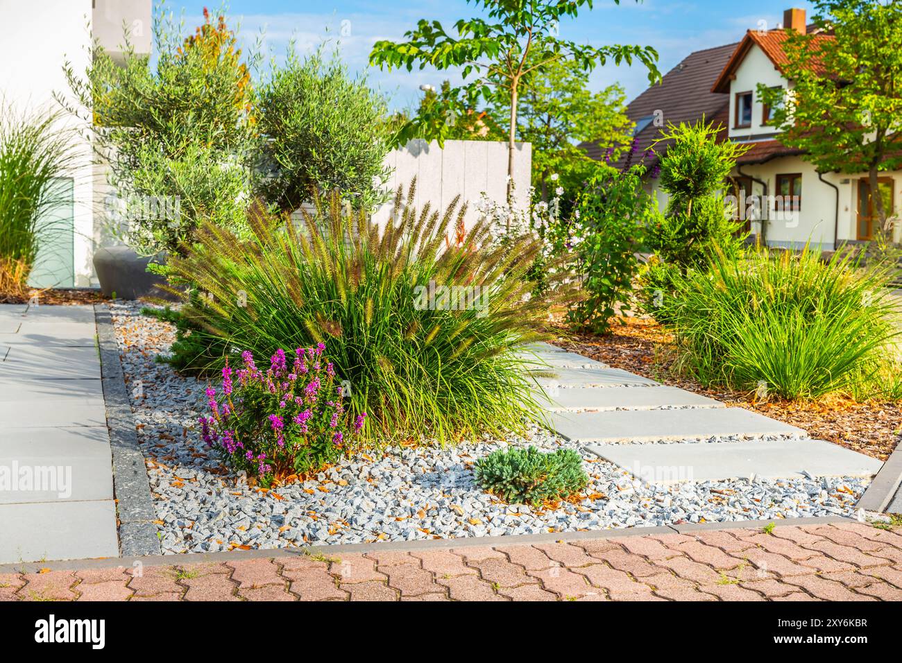 Frontyard of a modern house, garden details with colorful plants, dry ...