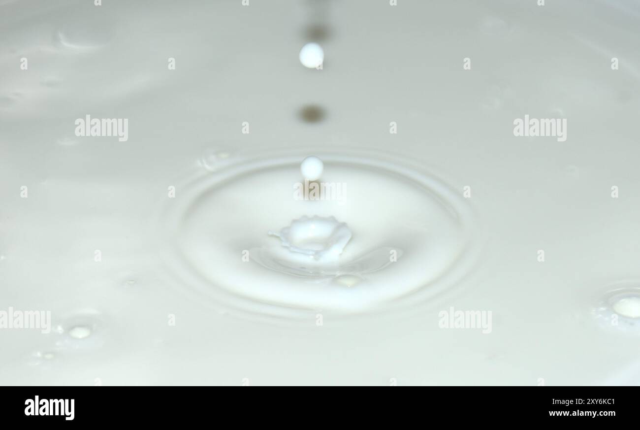 drop of white fresh milk falling to surface splashing and making wave ...
