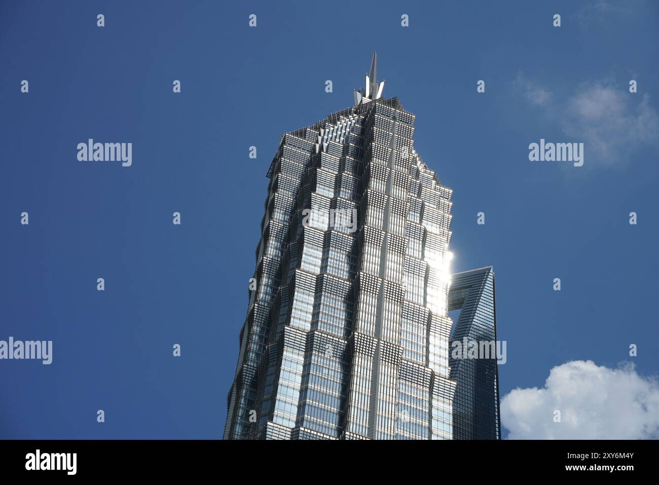 Shanghai, China. 28th Aug, 2024. SHANGHAI, CHINA - AUGUST 28, 2024 ...
