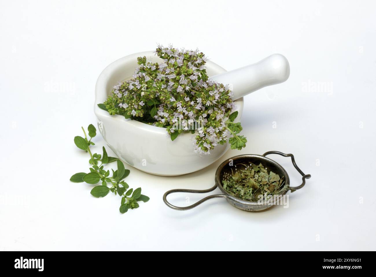 Flowering oregano in a grating bowl and dried oregano in a tea strainer ...
