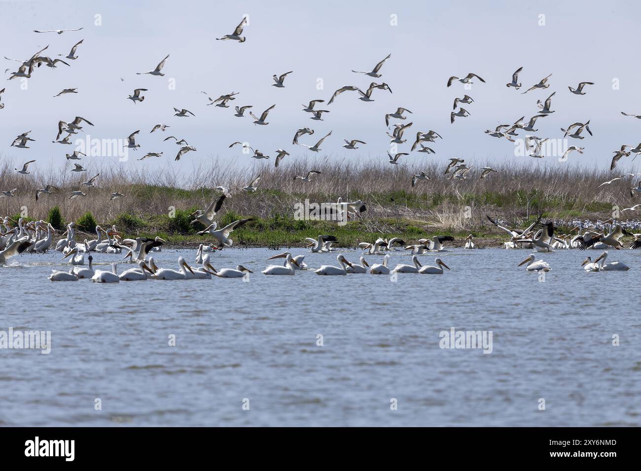 Nature scene from wisconsin Stock Photo - Alamy
