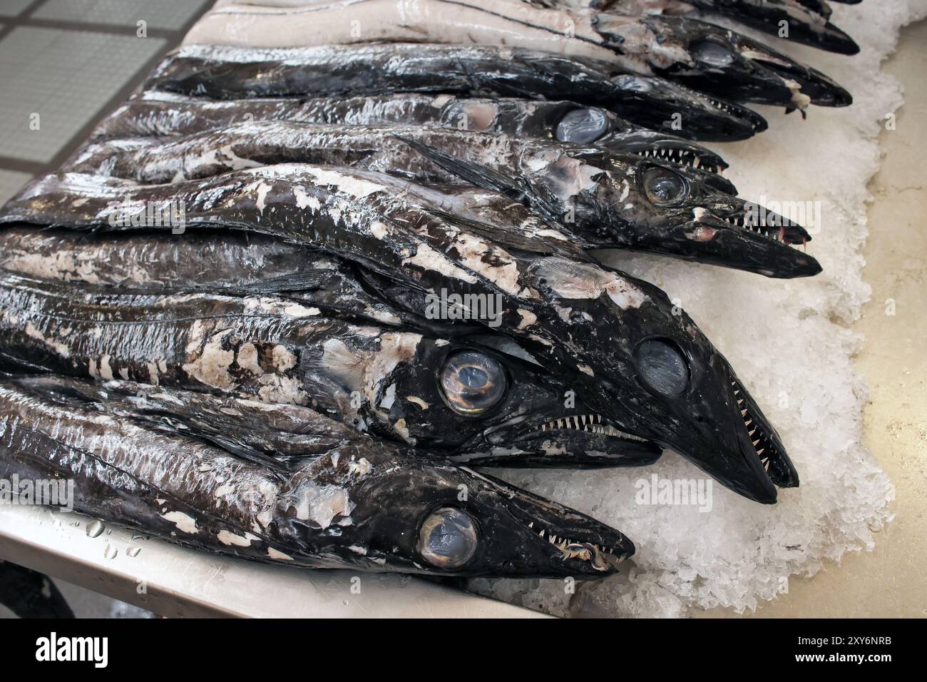 Saber fish is sold at a commercial ice counter Stock Photo - Alamy