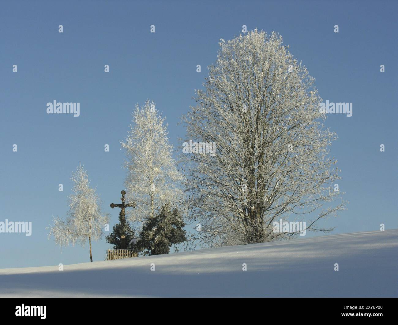 Expectation jesus hi-res stock photography and images - Alamy