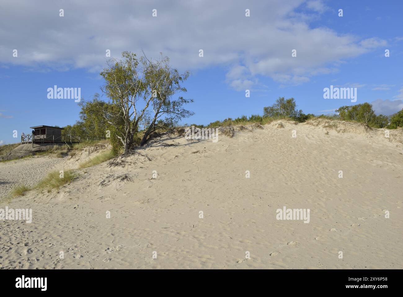 Sandhammaren is a Swedish coastal strip on the Baltic Sea. It is the ...