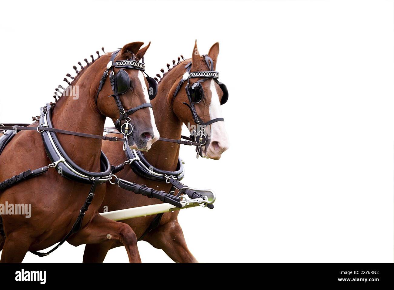 Photography competitions hi-res stock photography and images - Alamy