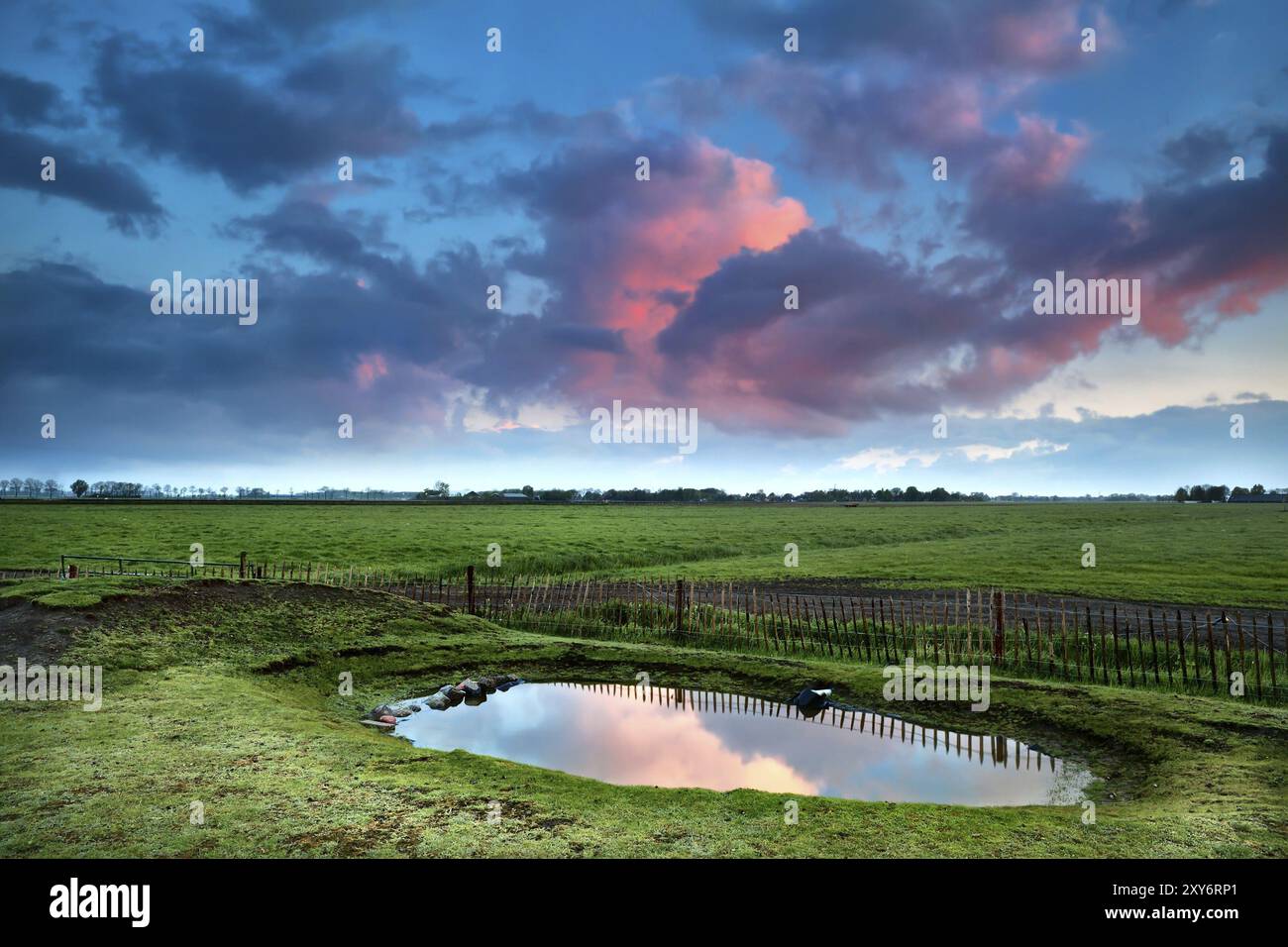 Dramatic sunrise reflected in little pond, Groningen, Netherlands Stock ...