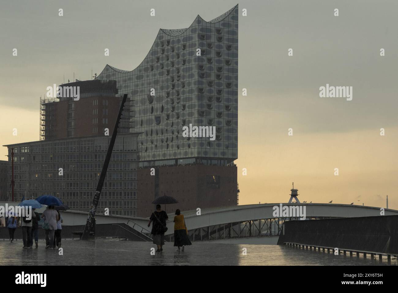 Symbolic picture weather, heavy rain in summer, thunderstorm, storm ...
