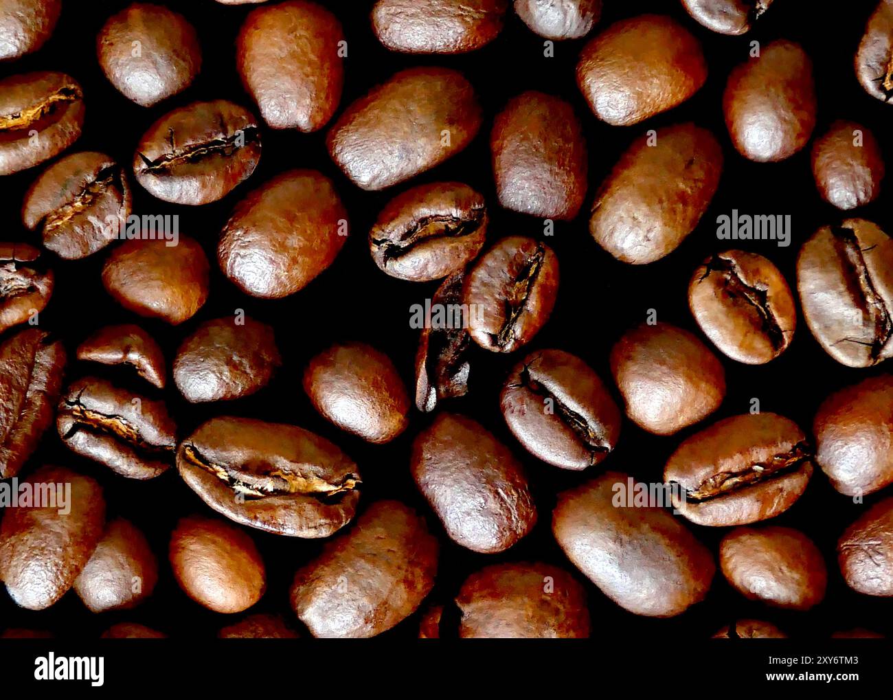 Close up shot coffee tree hi-res stock photography and images - Alamy