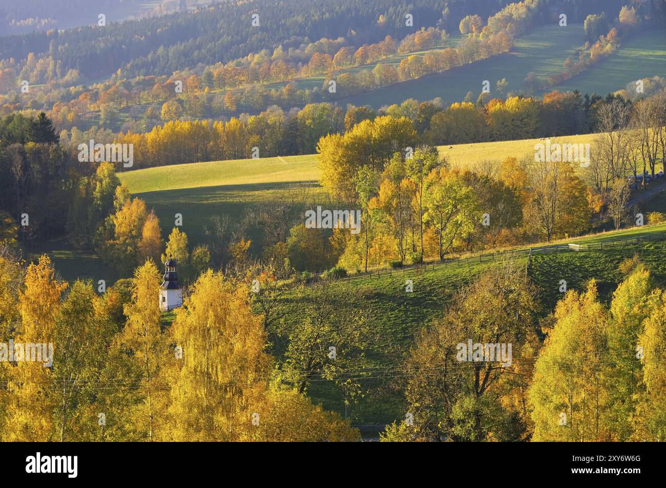 Giant maple leaf hi-res stock photography and images - Alamy