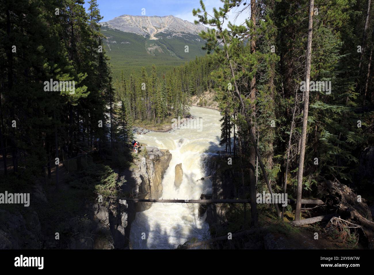 Sunwapta Falls in Jasper National Park Alberta Canada Stock Photo - Alamy