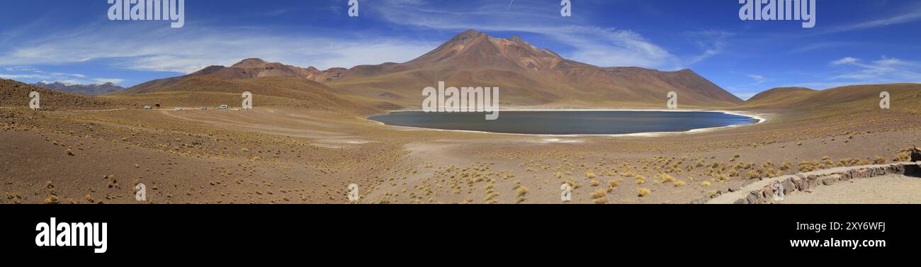 Laguna Miniques in the Atacama Desert in Chile Stock Photo - Alamy