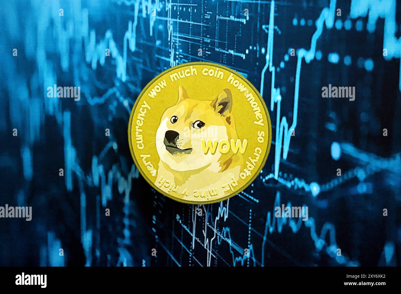 KYIV, UKRAINE - AUGUST 17, 2024 DOGE Meme coin on abstract fictional ...