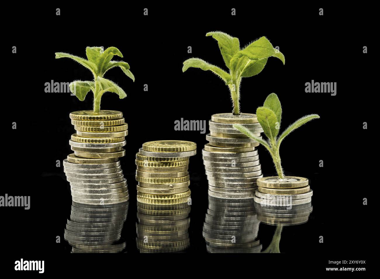 Stacked coins in open hi-res stock photography and images - Alamy