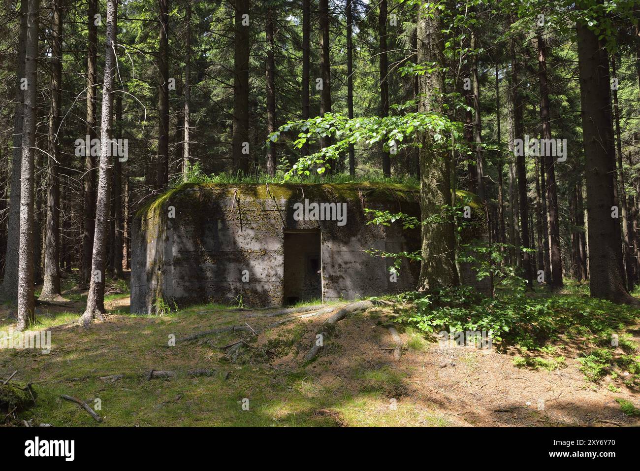 Bunkers in Czech Republic. Bunker in Czech Republic Lusetian Mountains ...