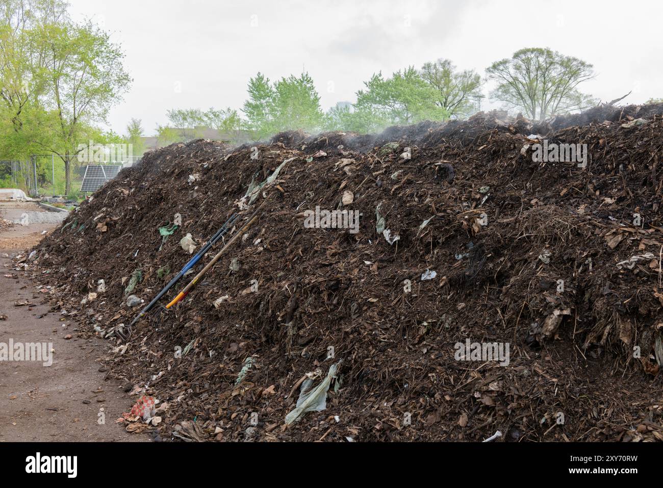 Composting windrow decompsing Stock Photo - Alamy