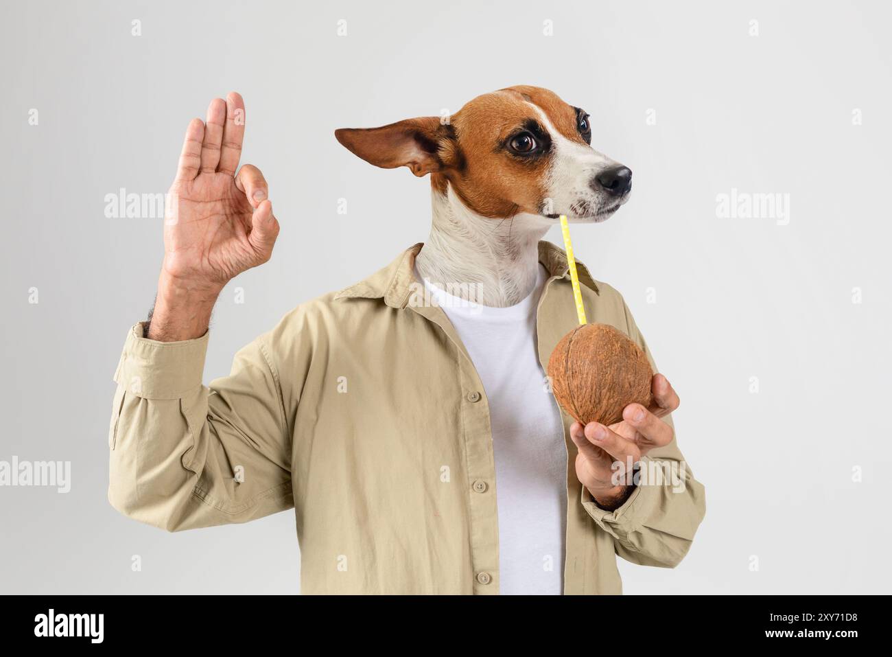 A Playful Dog Holding a Coconut and Saluting Stock Photo - Alamy