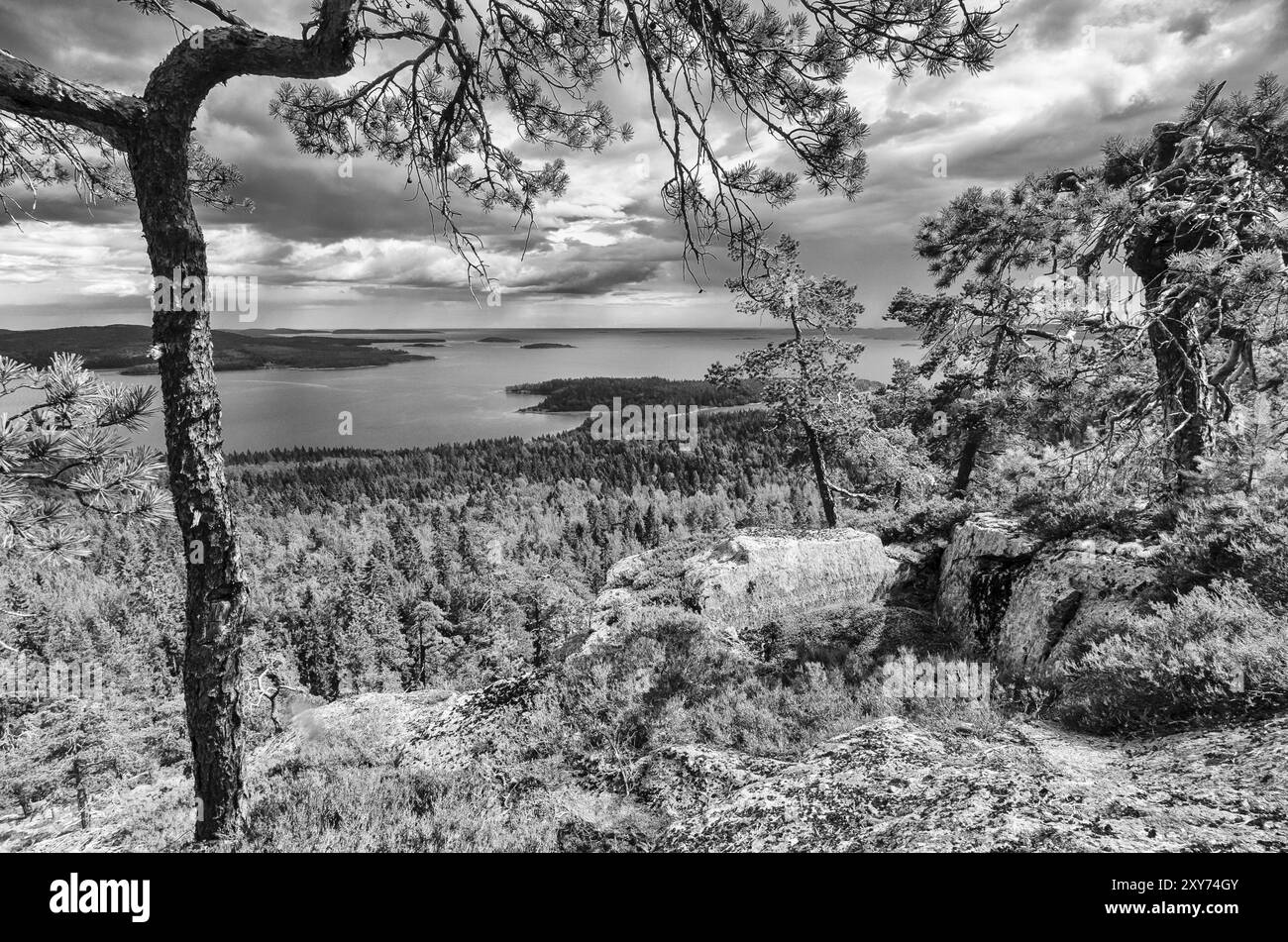 Monochrome shot empty park Black and White Stock Photos & Images - Alamy