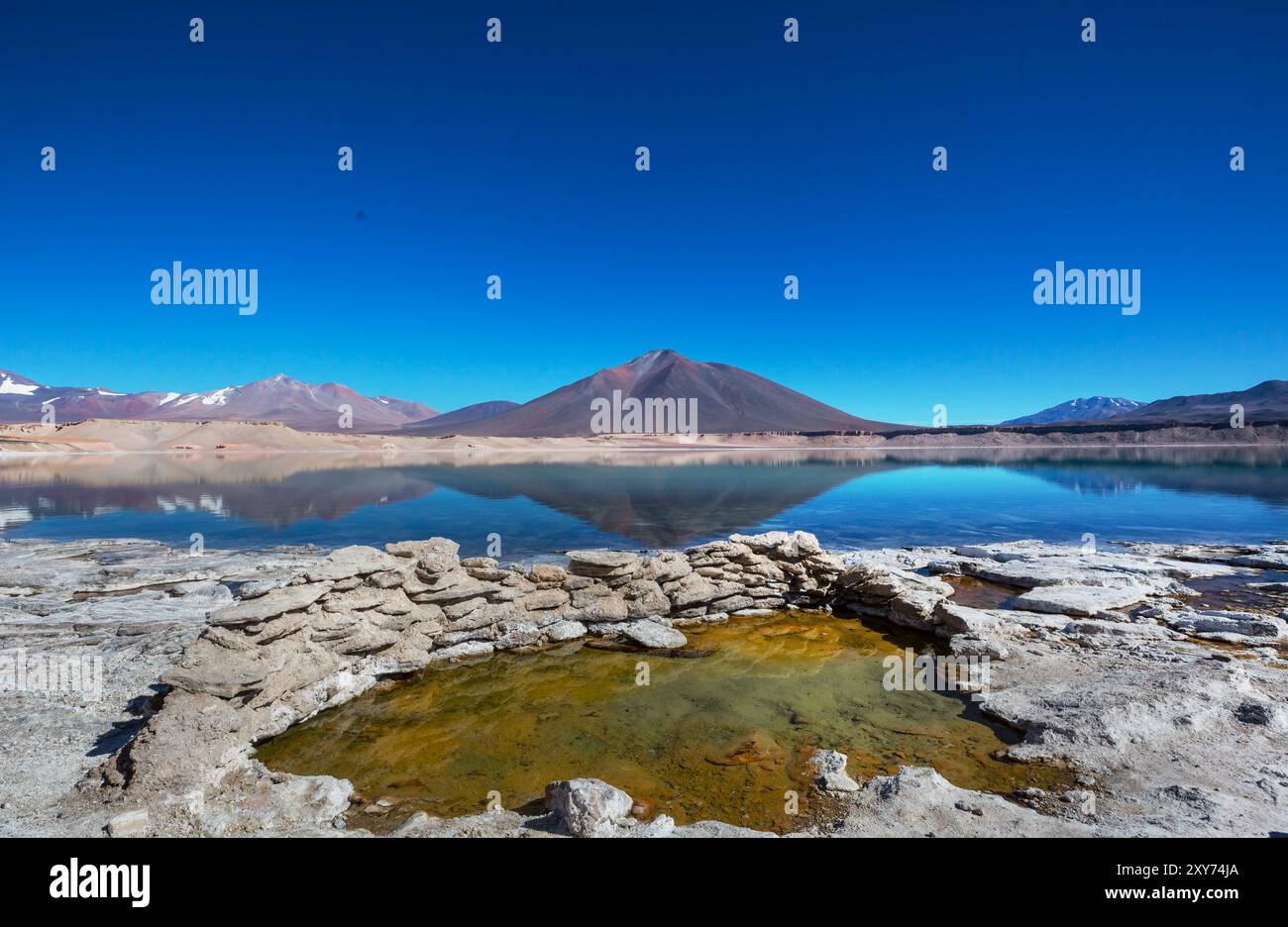 Natural Hot Spring in Atacama desert, Chile, South America Stock Photo ...