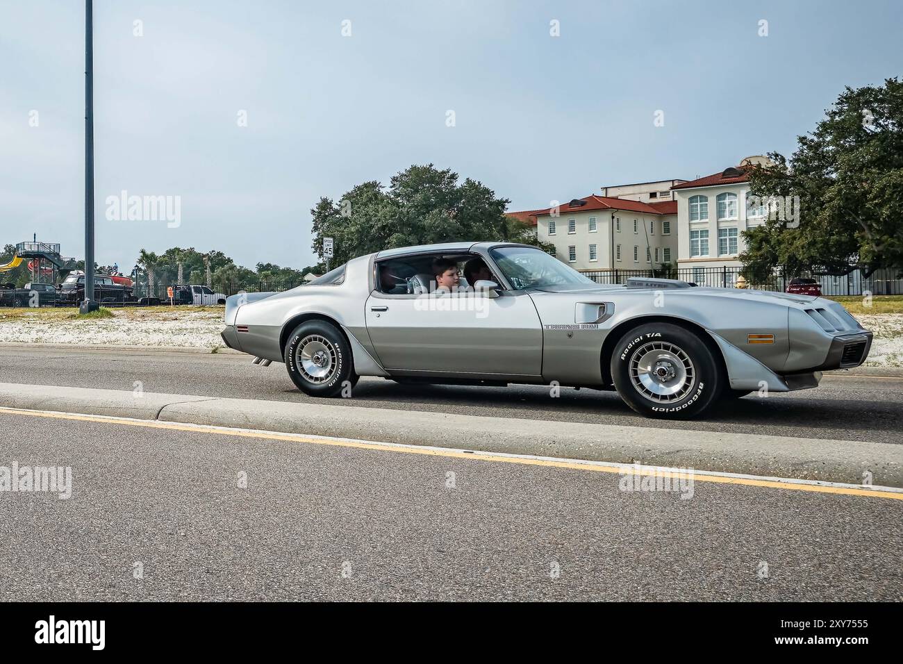 Pontiac Firebird Side View Used 1979 Pontiac Firebird Trans Am 10th