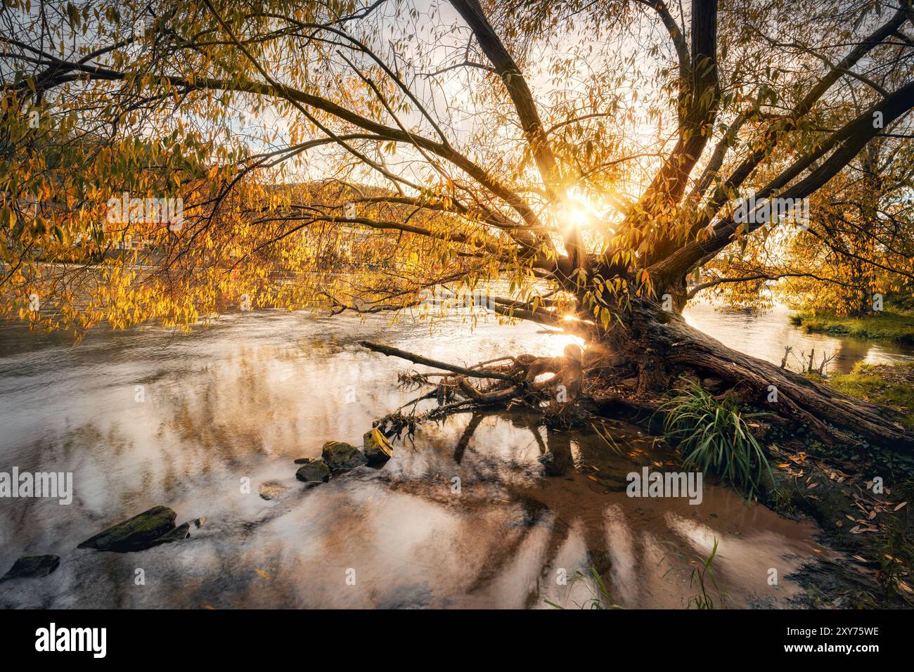 Sunlight reflections on neckar river hi-res stock photography and ...