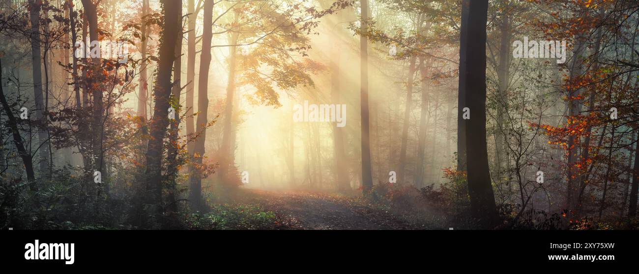 Sunny mood hi-res stock photography and images - Alamy