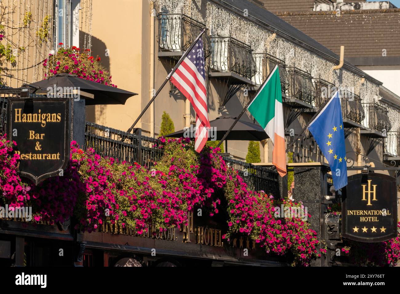 Close view of flags and petunia flowers hanging baskets on The ...