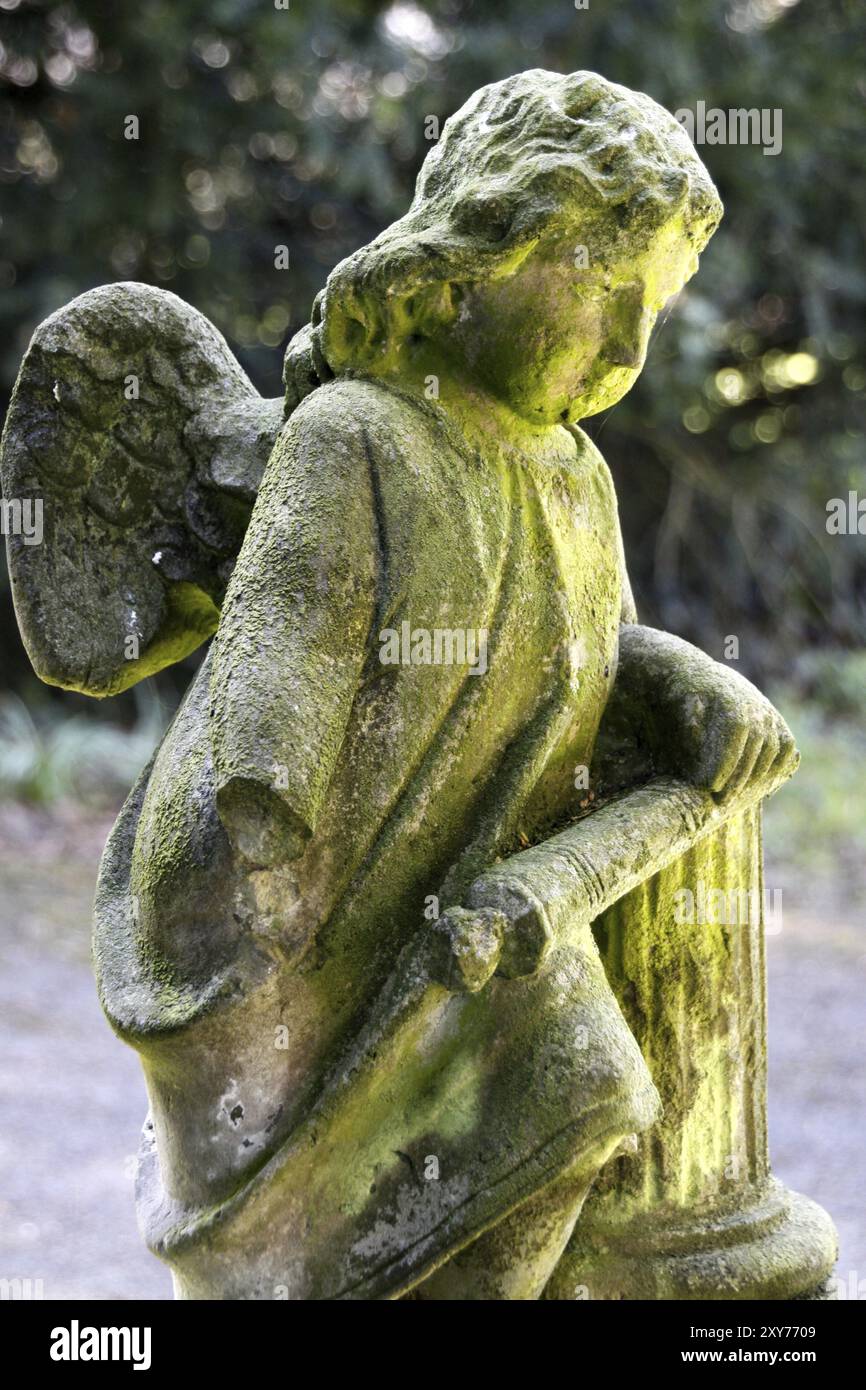 Cemetery fauna hi-res stock photography and images - Alamy
