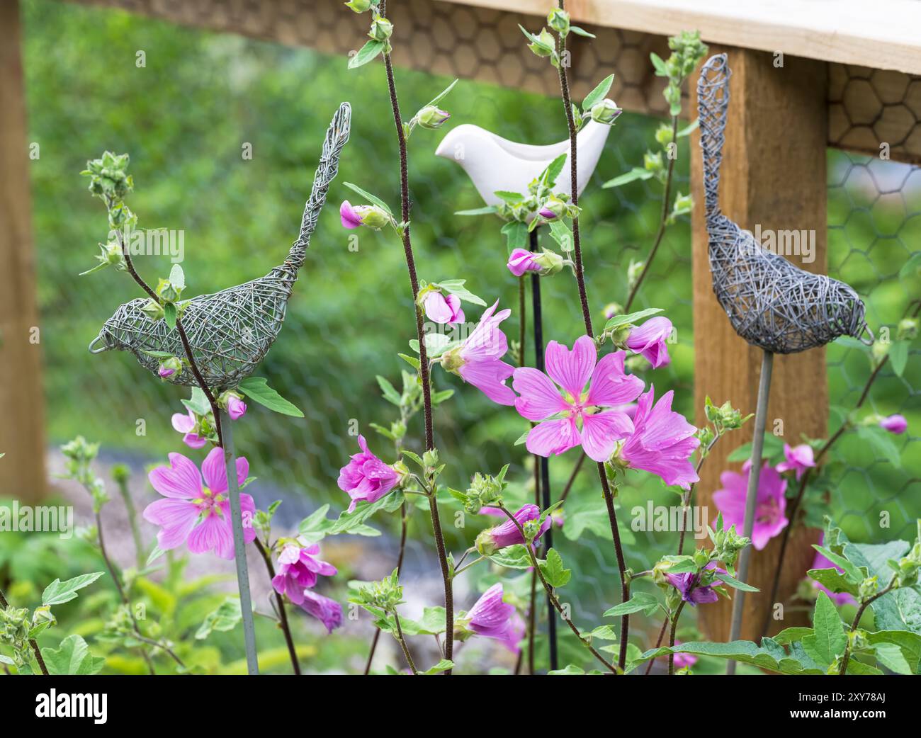 Ornamental plant stakes in a garden border Stock Photo - Alamy