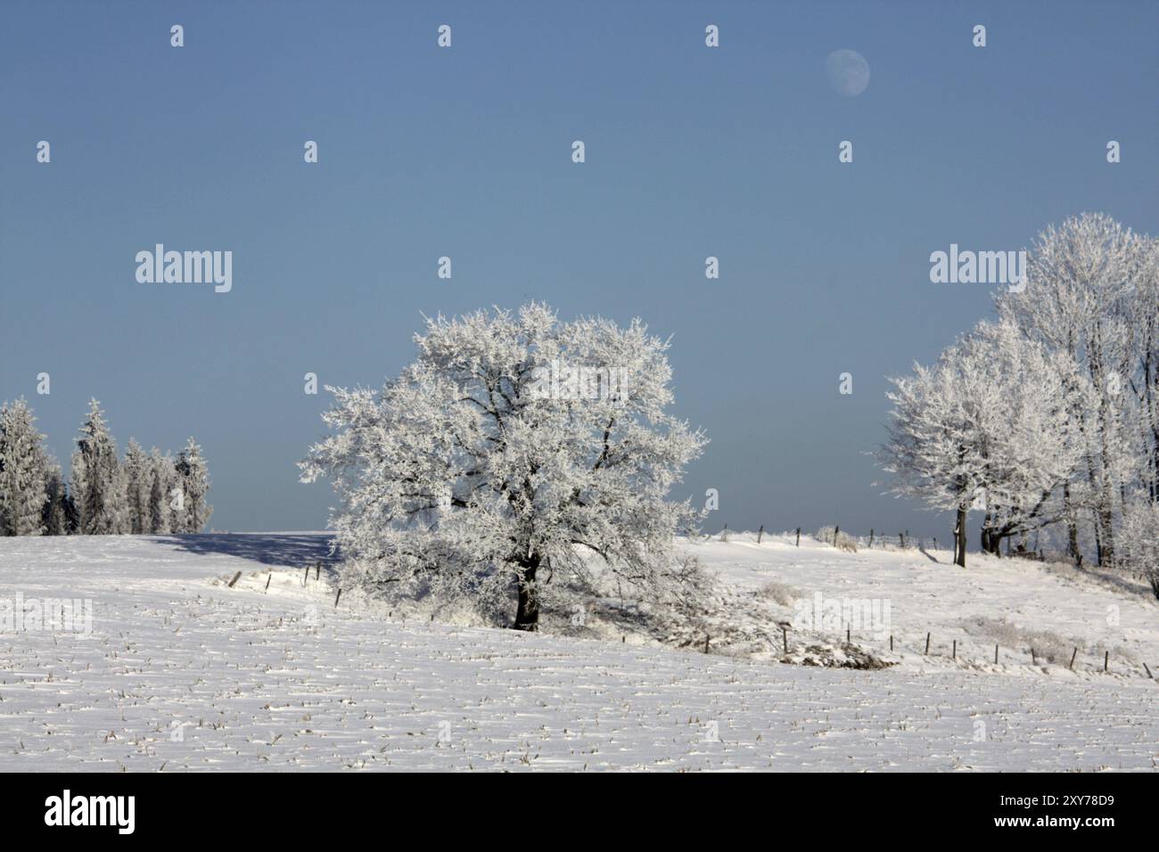 Mantle of ice hi-res stock photography and images - Alamy