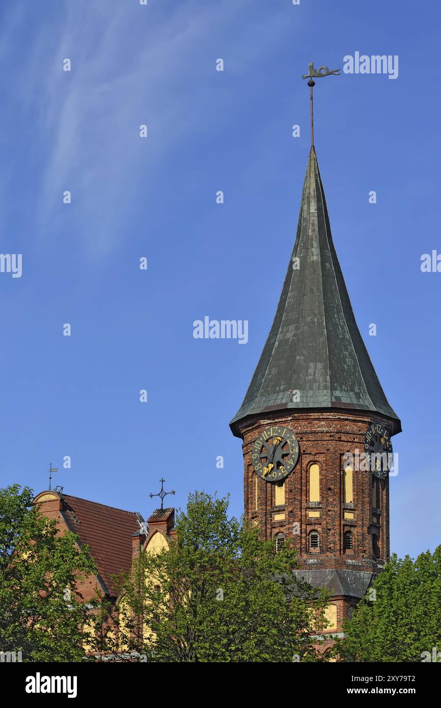 Tower of the Koenigsberg Cathedral. Gothic 14th century. Symbol of the ...