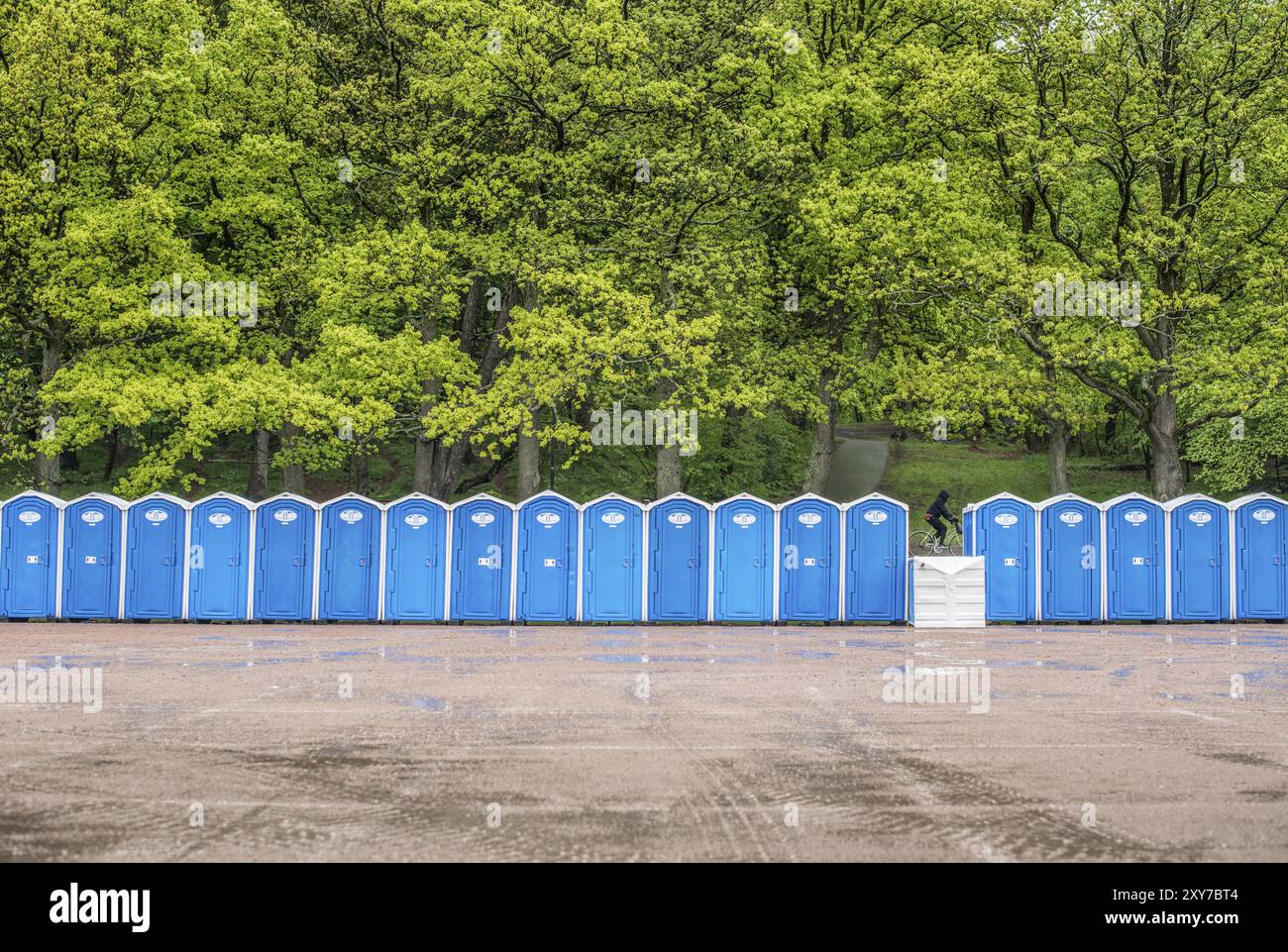 Long row of portable toilets in front of a forest where one has tipped ...