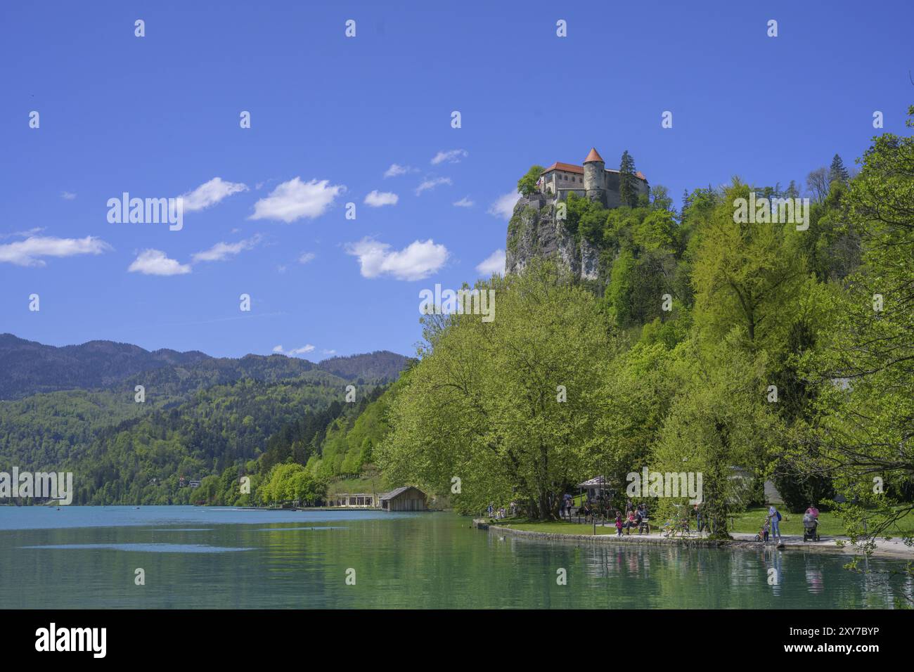 Castle of, Bled, Municipality of Bled, Slovenia, Europe Stock Photo - Alamy