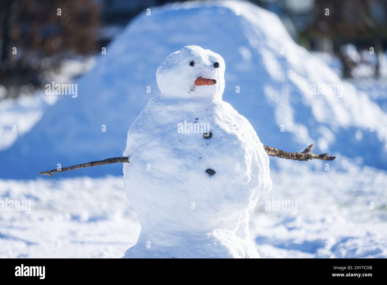 Snowman in field agricultural hi-res stock photography and images - Alamy