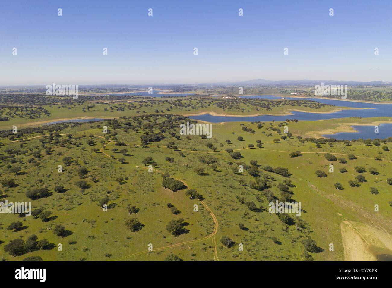 Dam lake reservoir drone aerial view of Barragem do Caia Dam olive ...
