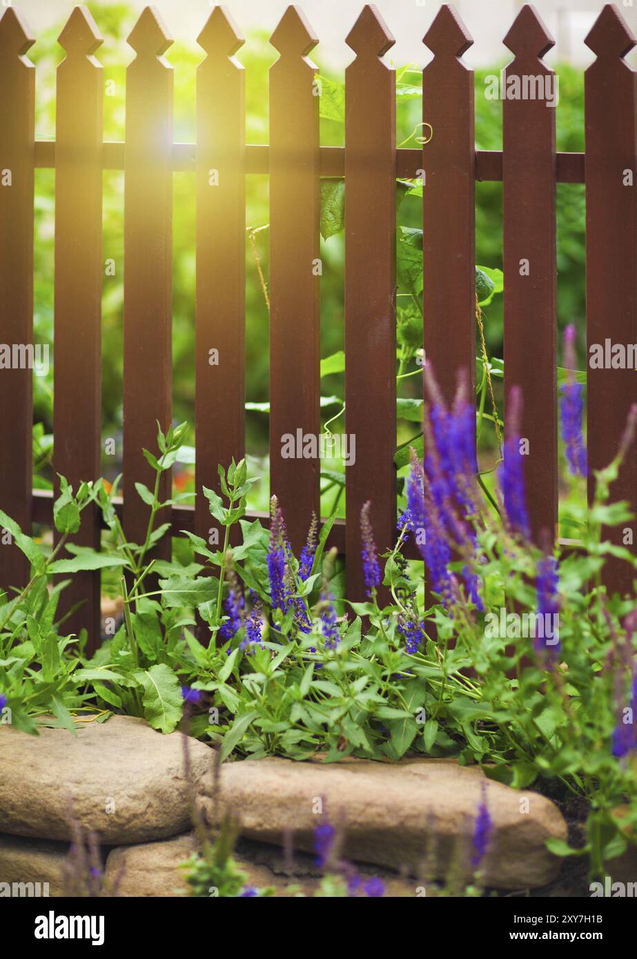 Sunlight over old fence hi-res stock photography and images - Alamy