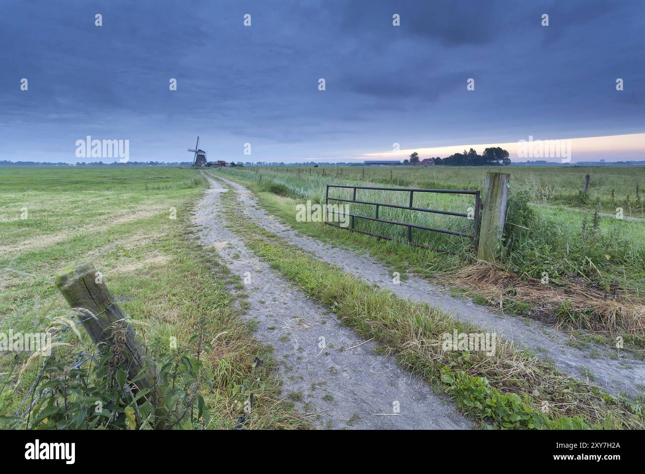 Countryside ground road to windmill in morning, Netherlands Stock Photo ...
