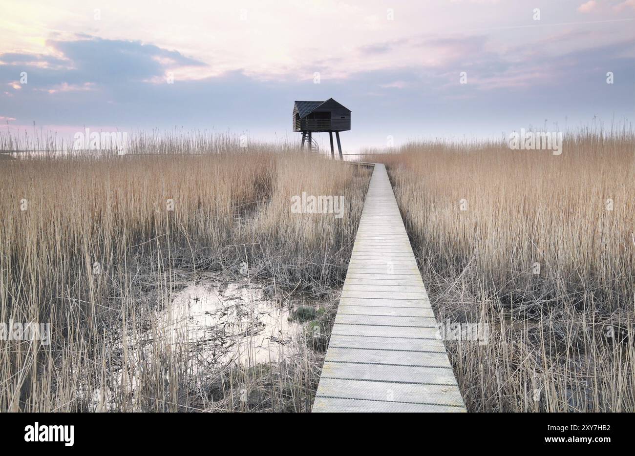 Wooden path to bird observation tower on coast Stock Photo - Alamy