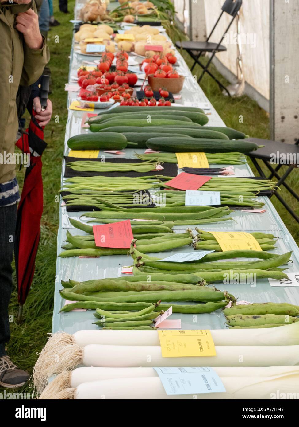 Vegetables at the produce competition at the Reeth Show in Swaledale ...