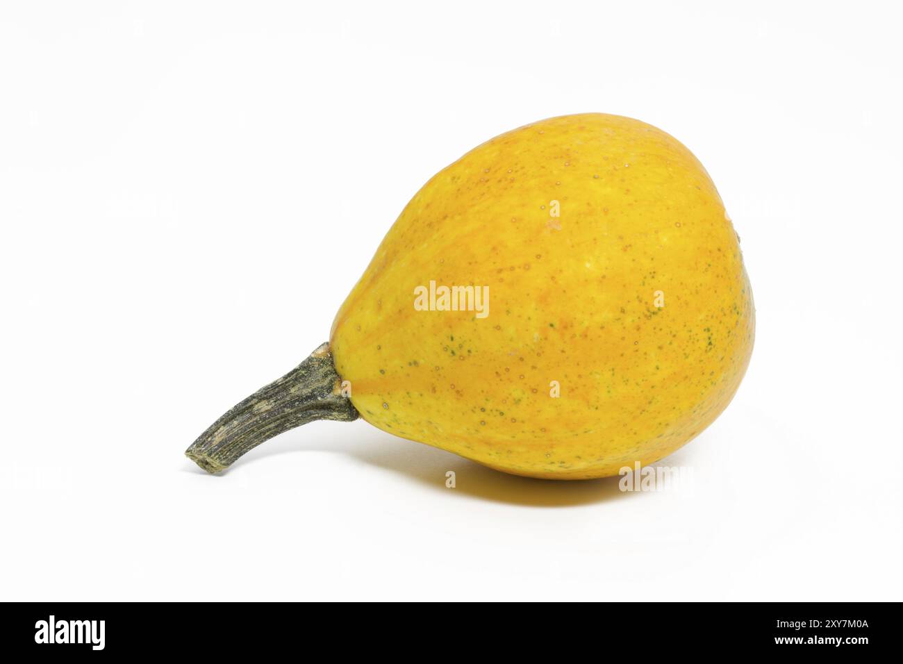 Halloween decoration pumpkin pumpkin decorated Cut Out Stock Images ...