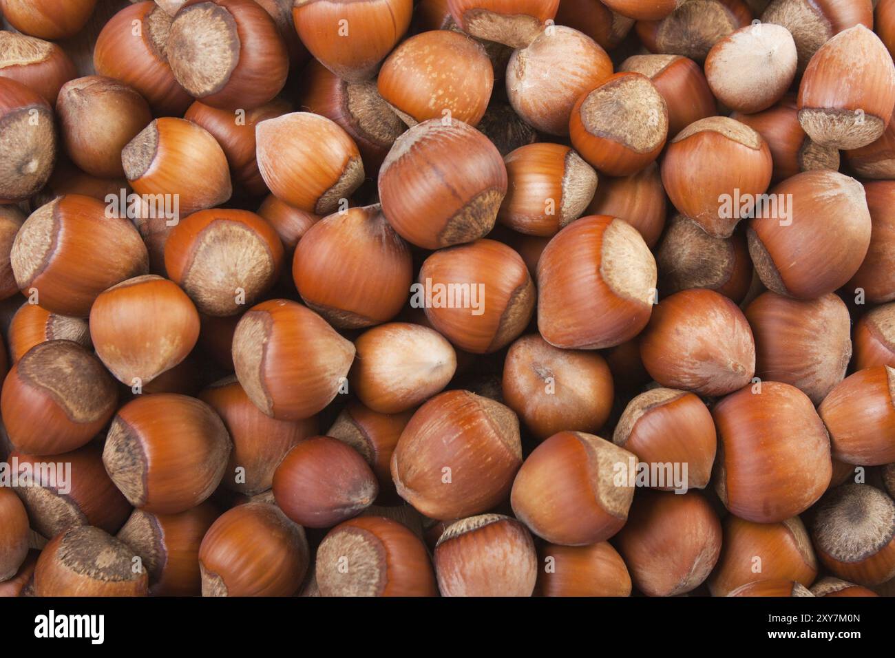 Healthy eating vegetarian nut food brown hazelnut Stock Photo - Alamy