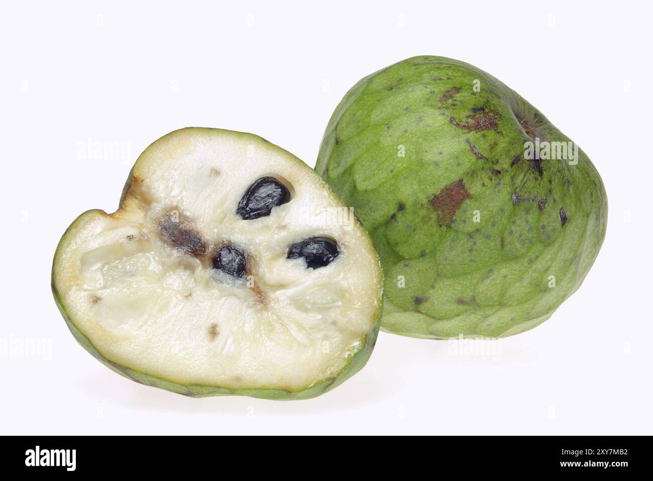 Cherimoya fruit tree Cut Out Stock Images & Pictures - Alamy